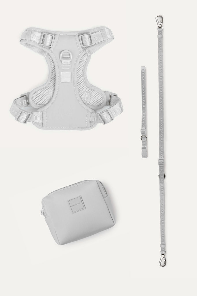 Mini Go! With Ease Bundle – maxbone