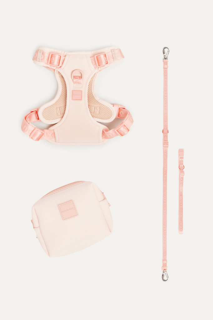 Mini Go! With Ease Bundle – maxbone