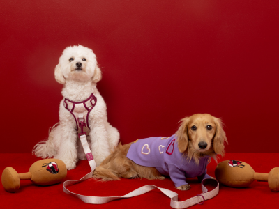 Shop All – maxbone