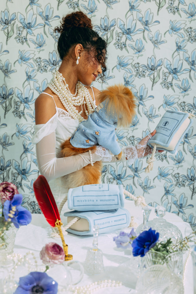 Bridgerton x maxbone Society Paper Plush Toy