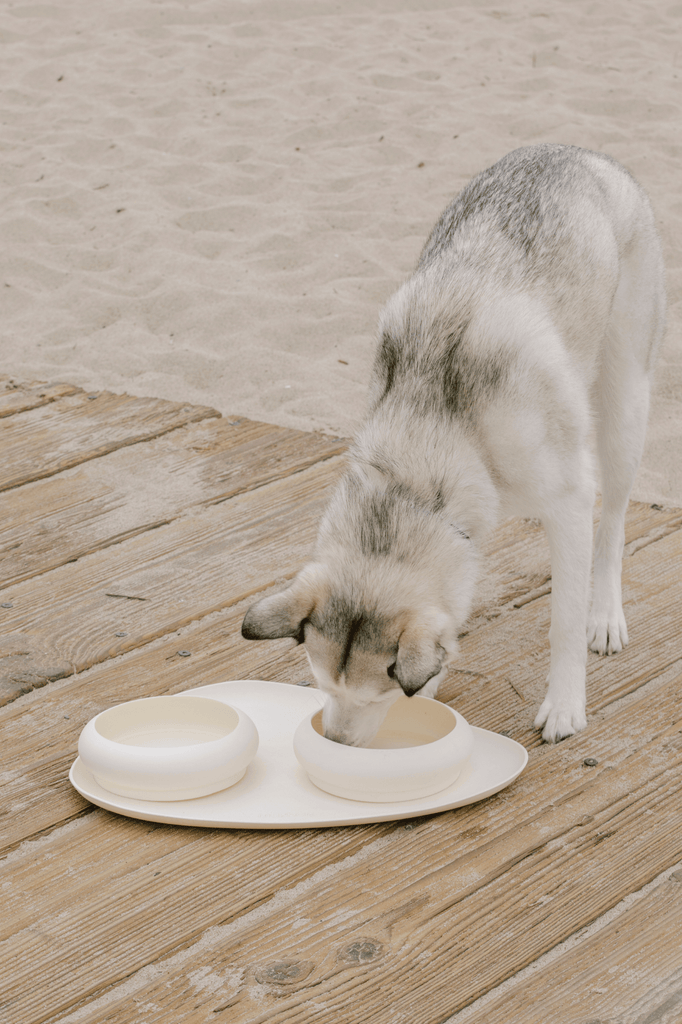 Bubble Bowls & Mat Set – maxbone