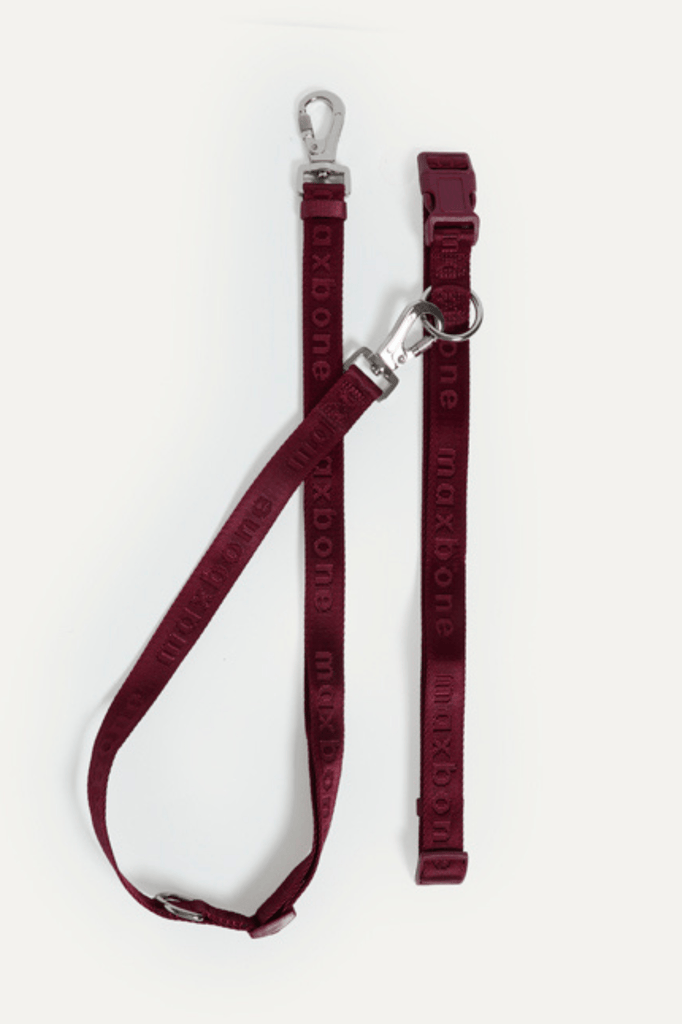 GO! With Ease Hands Free Leash – maxbone