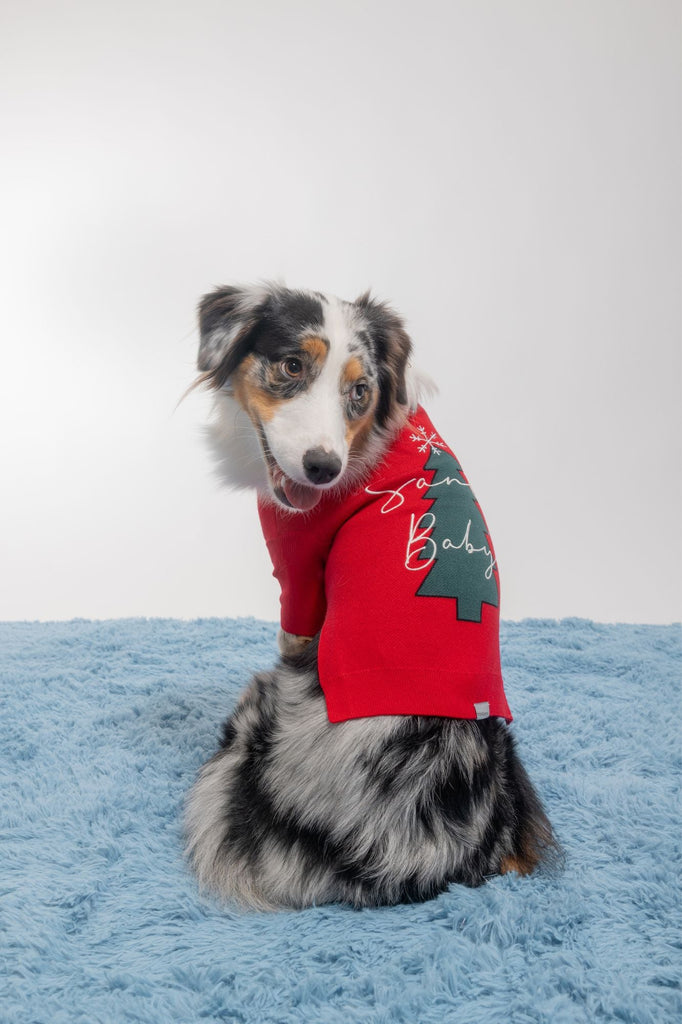 Santa Baby Jumper – maxbone