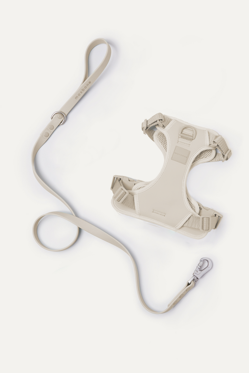 Dog Carrier Bags, dog harness, dog leash, dog collar | maxbone