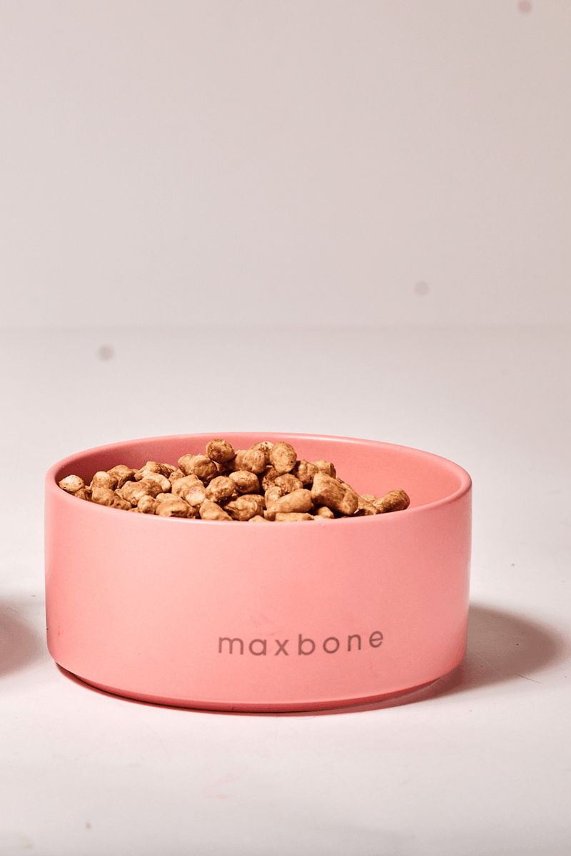 Freeze Dried beef dog food grain free & no fake stuff | max-bone – maxbone