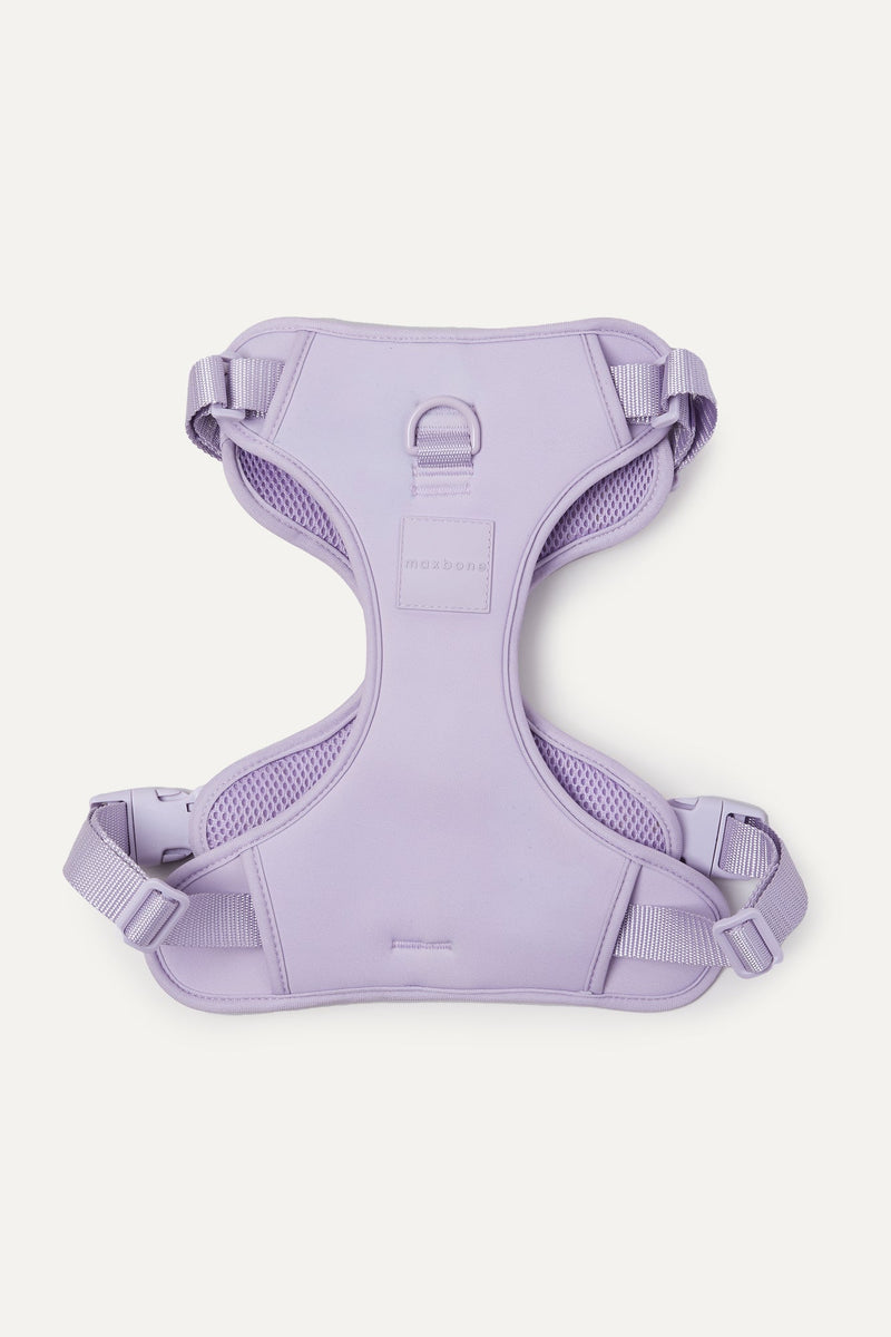 Collections – maxbone