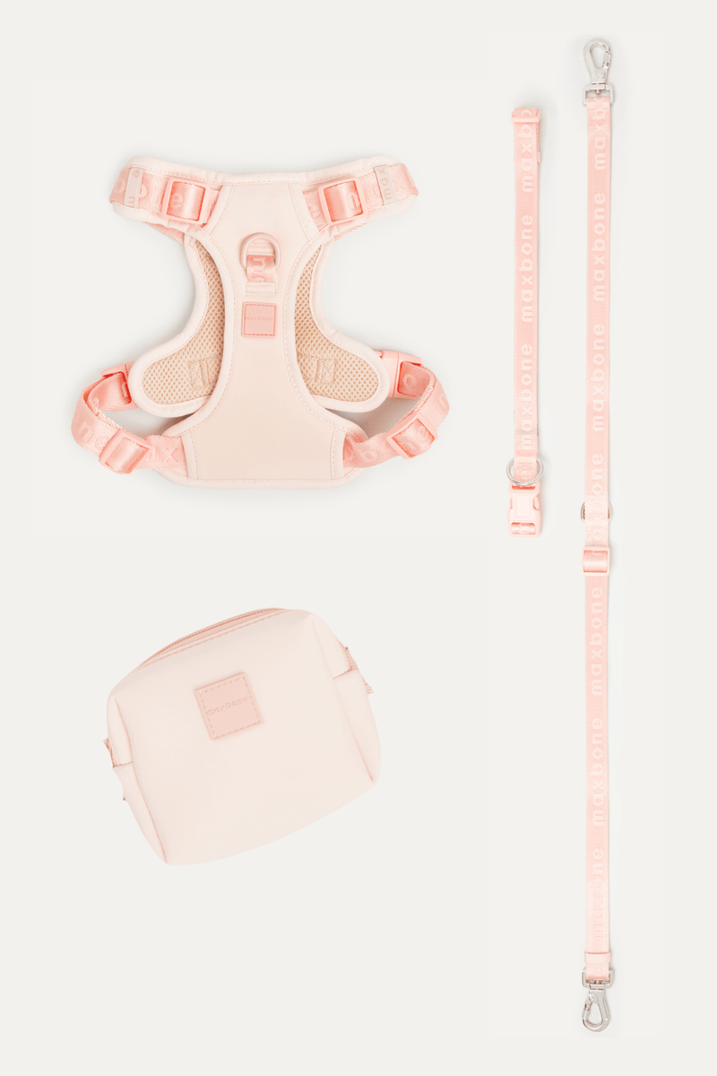 Hazel Collar – maxbone