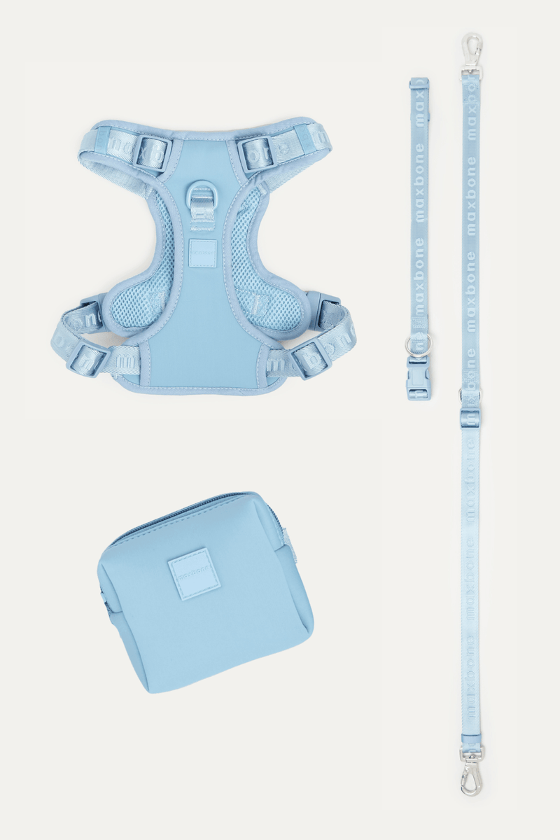 Spring Essentials – maxbone