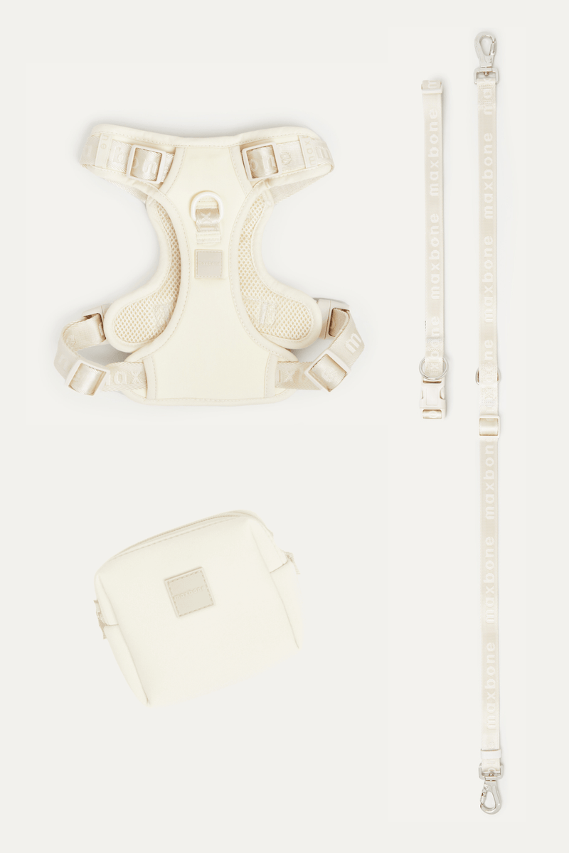 maxbone | Reimagining the pet industry