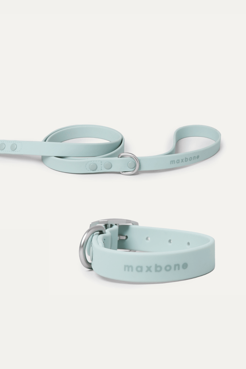 Dog Carrier Bags, dog harness, dog leash, dog collar | maxbone