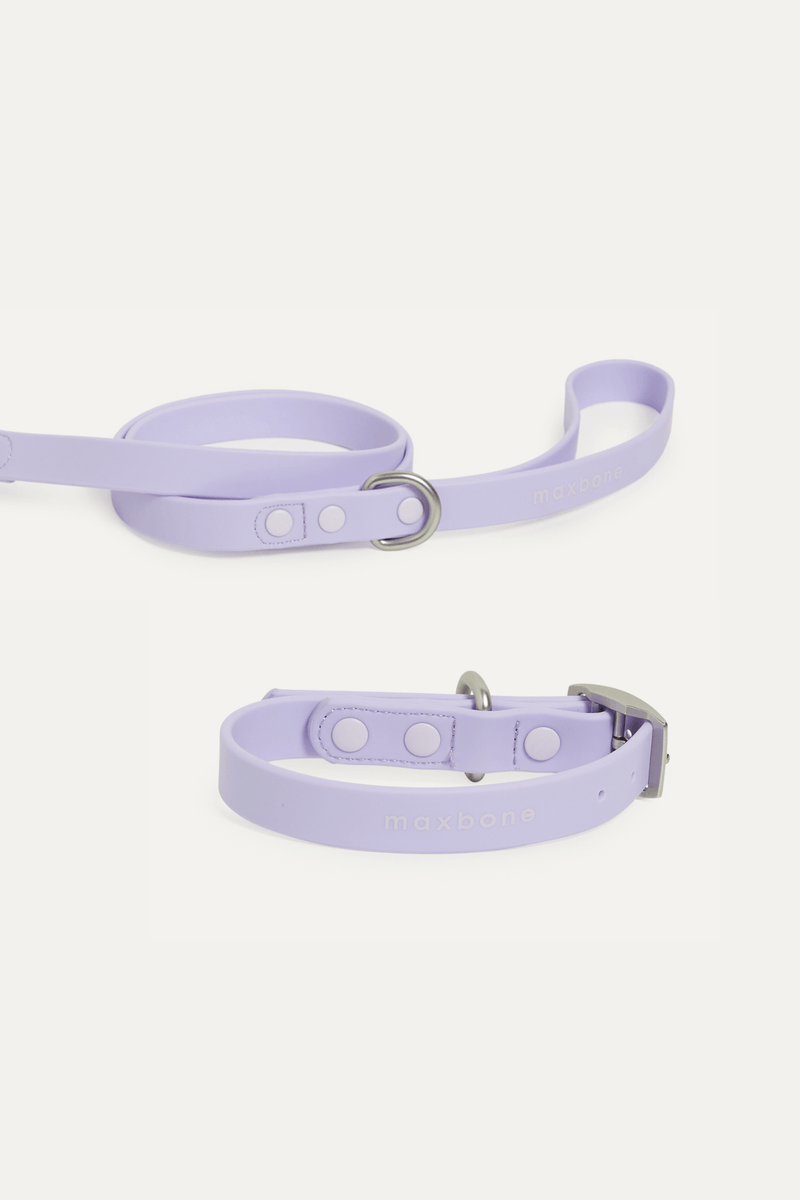 Dog Carrier Bags, dog harness, dog leash, dog collar | maxbone