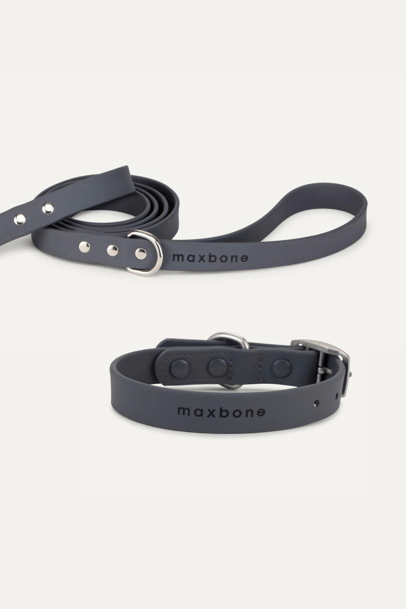 Dog Carrier Bags, dog harness, dog leash, dog collar | maxbone