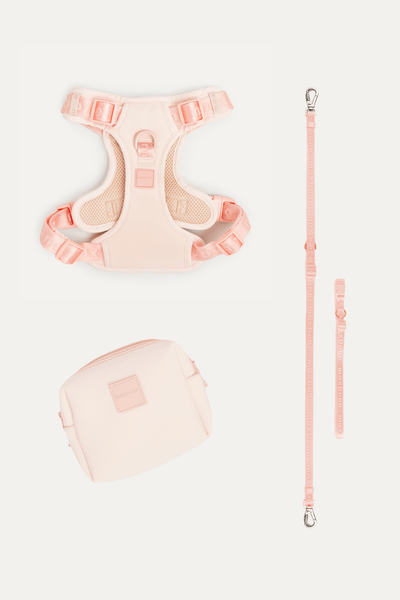 Mini Go! With Ease Bundle – maxbone