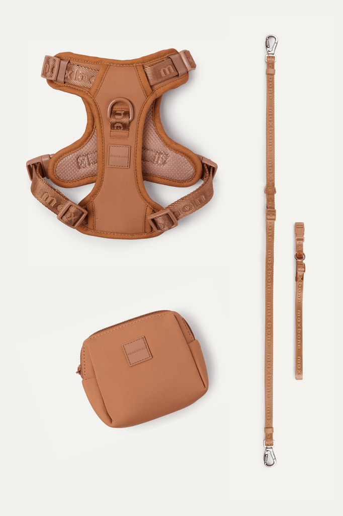 Mini Go! With Ease Bundle – maxbone