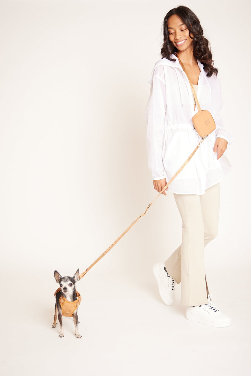 Dog Carrier Bags, dog harness, dog leash, dog collar | maxbone