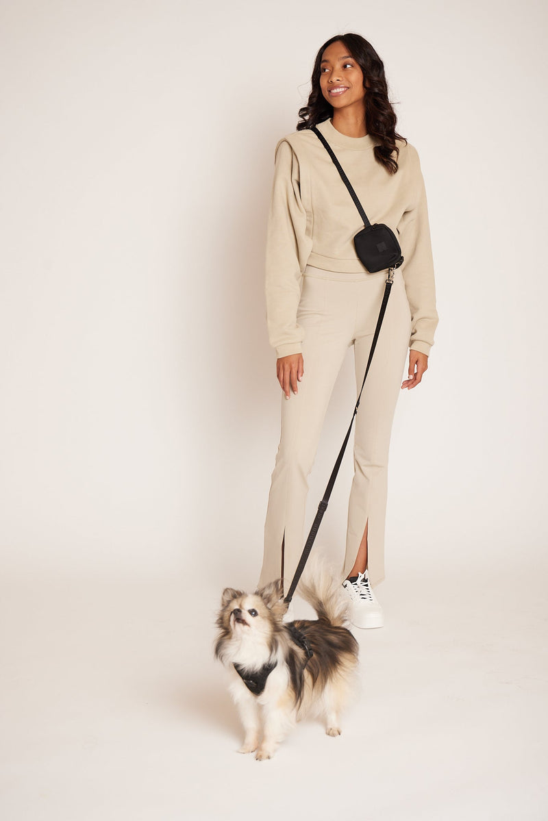 Leashes, Harnesses & Collars#N# #N# #N# #N# #N# –#N# maxbone